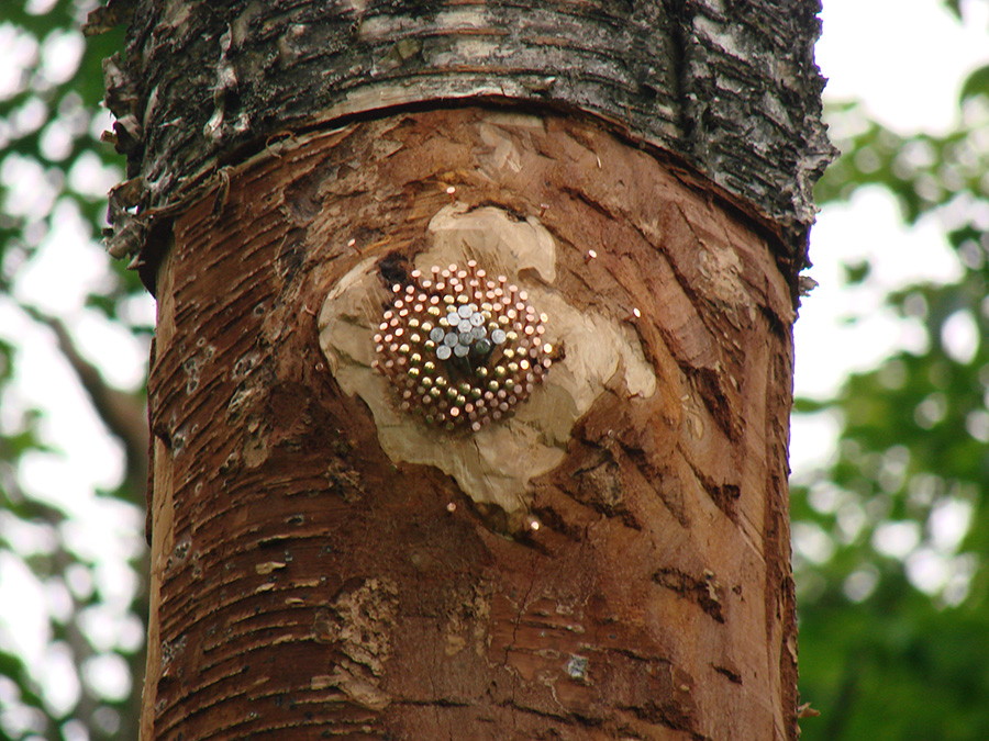 Le totem – Création 3j